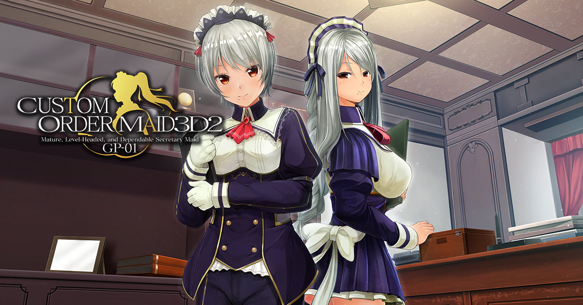 Custom Order Maid 3d 2 Mature Level Headed And Dependable Secretary